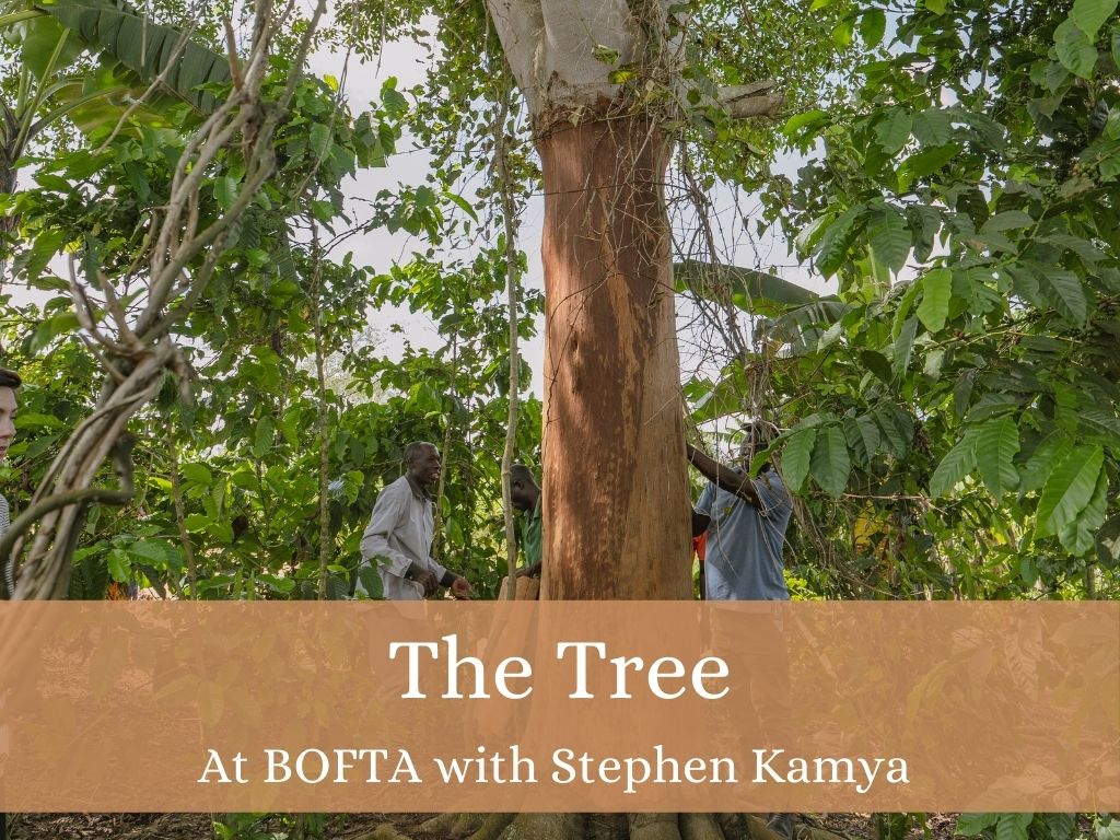 Weave a Real Peace - Ugandan Barkcloth Continued